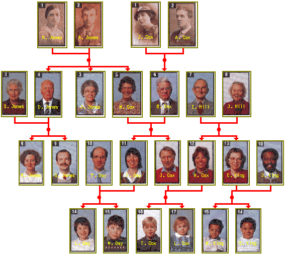Family Tree Graph Ergo Sum